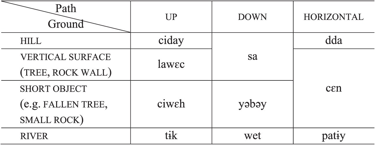 Ways of looking: Lexicalizing visual paths in verbs | Journal of ...