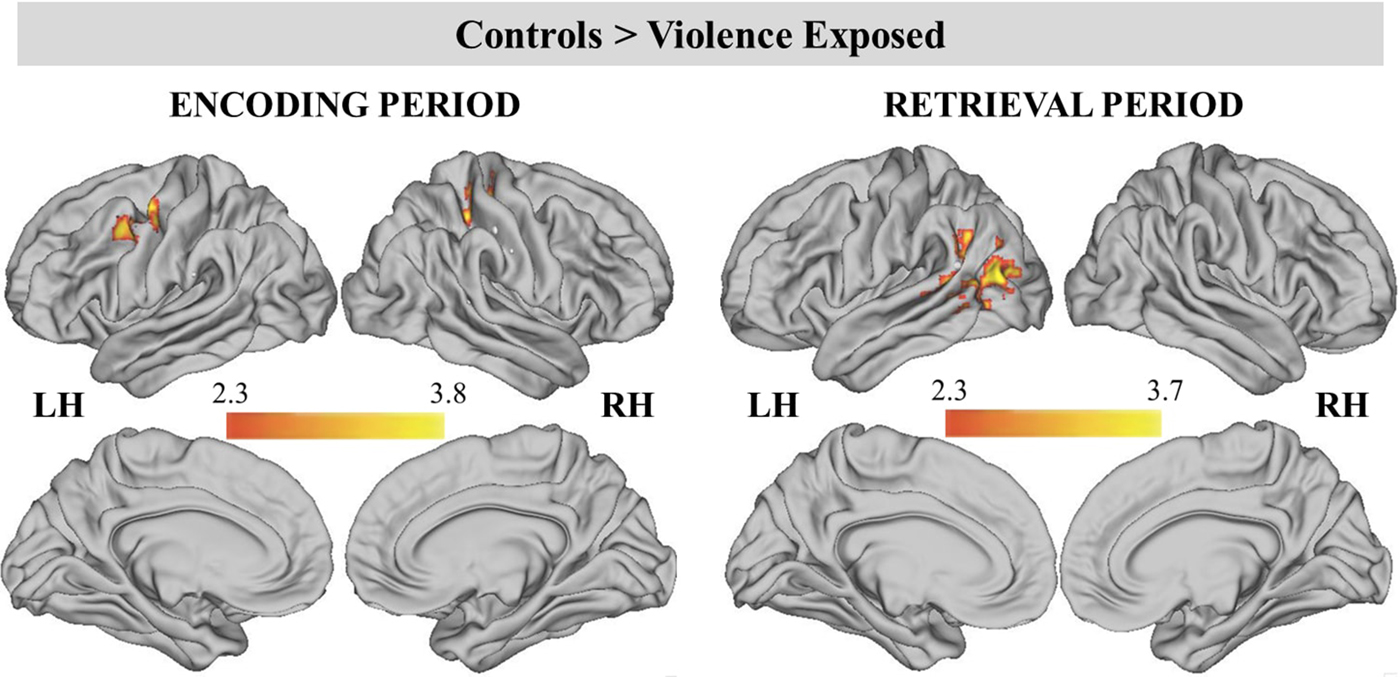 Violence exposure and neural systems underlying working memory for ...