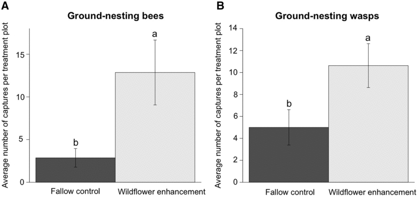 Evaluation of nest-site selection of ground-nesting bees and wasps ...