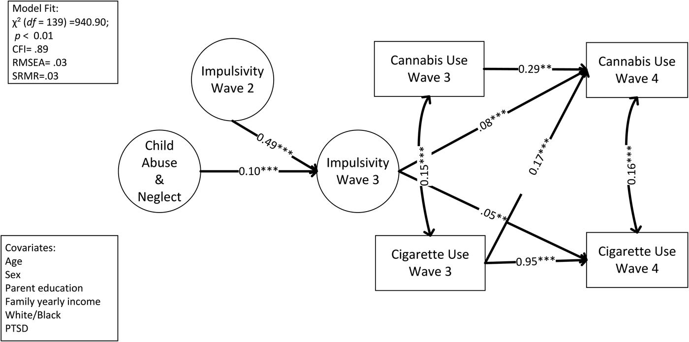 Impulsivity as a mechanism linking child abuse and neglect with ...