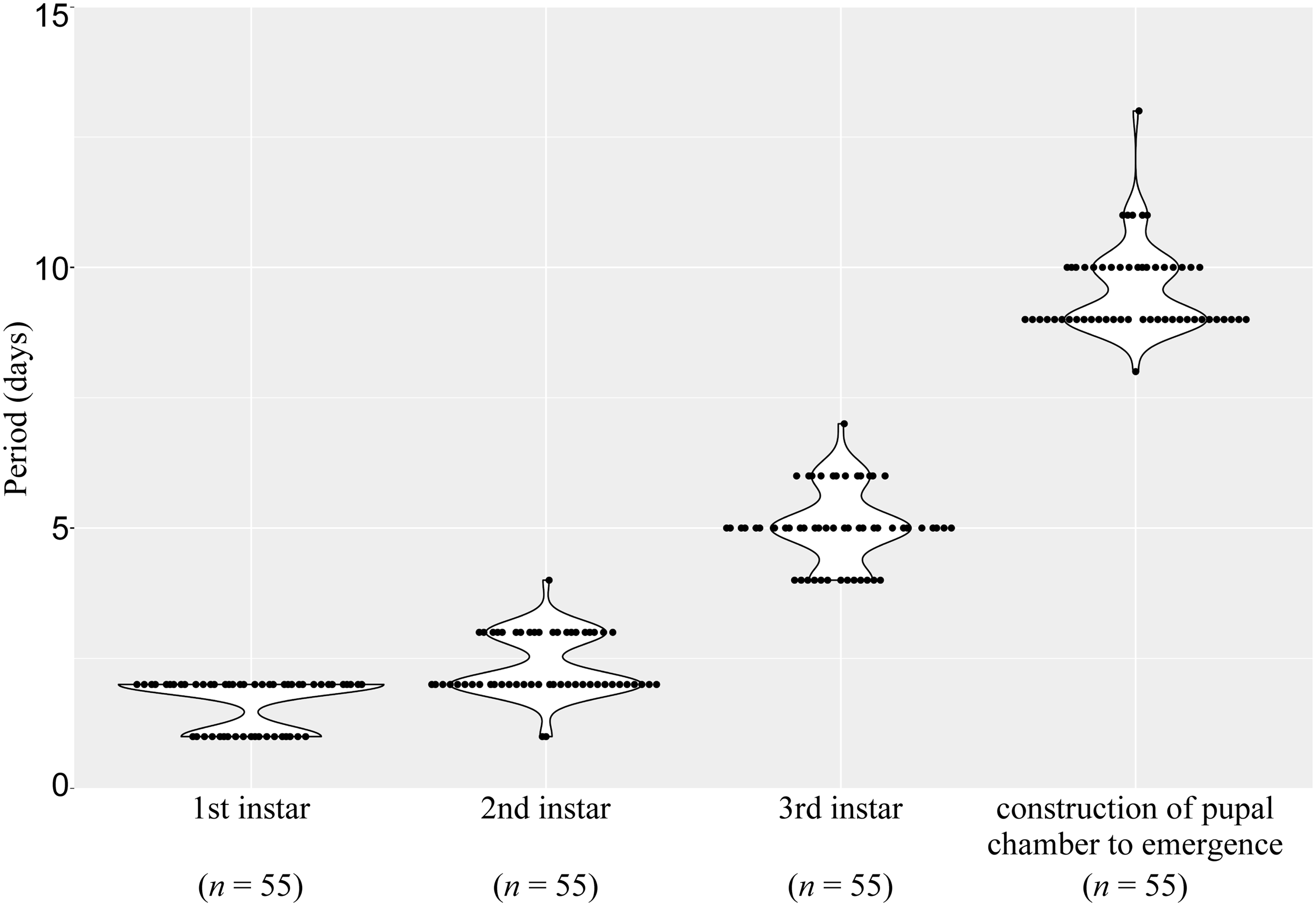 Biological notes on immature stages of Hydaticus pacificus conspersus ...