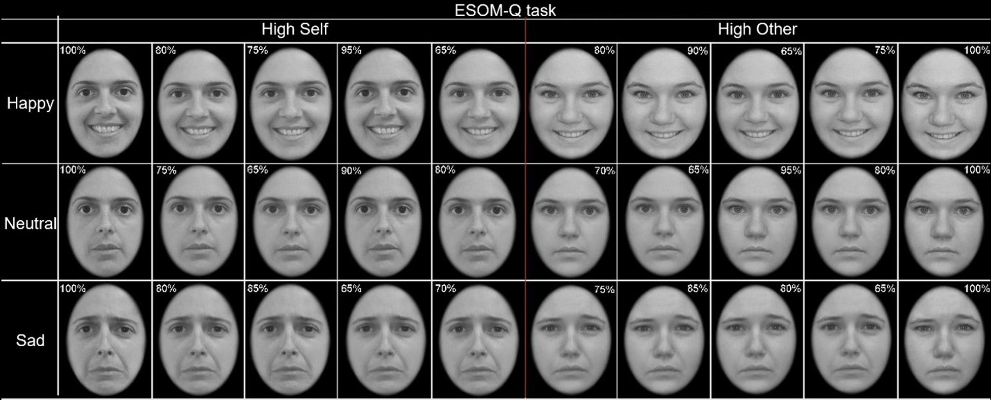 Self-compassion and dorsolateral prefrontal cortex activity during sad ...