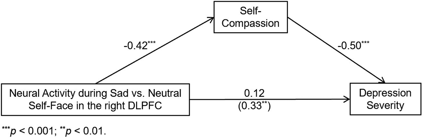 Self-compassion and dorsolateral prefrontal cortex activity during sad ...