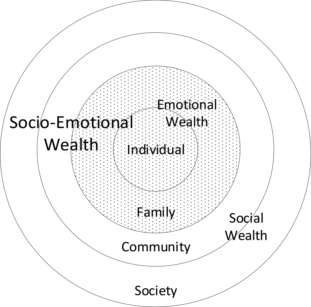 Deconstructing Socioemotional Wealth: Social Wealth and Emotional ...