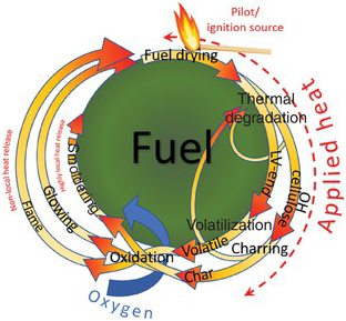 Wildland Fire Combustion Dynamics (Chapter 1) - Wildland Fire Dynamics