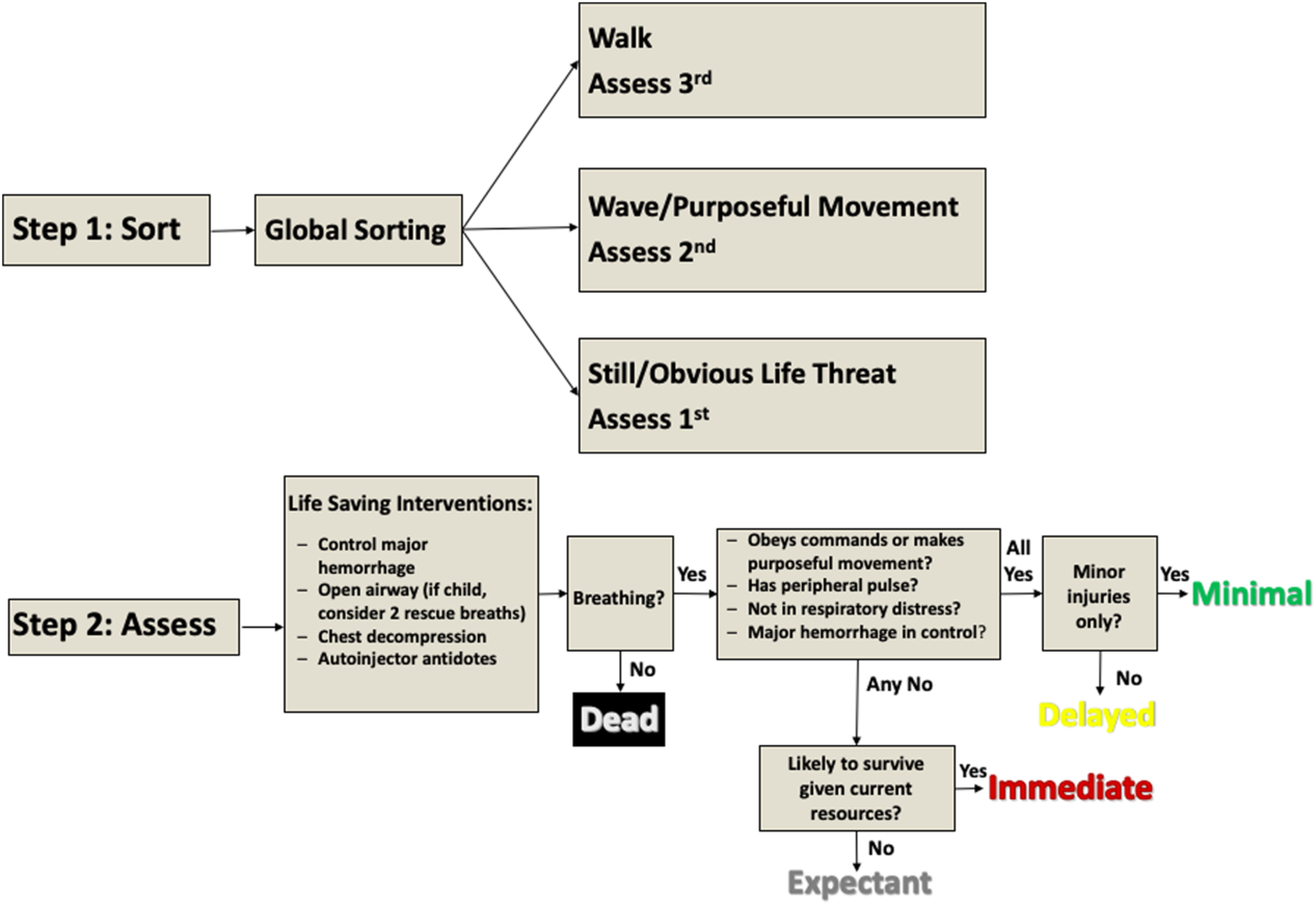 Flipped Classroom Approach Used in the Training of Mass Casualty Triage ...