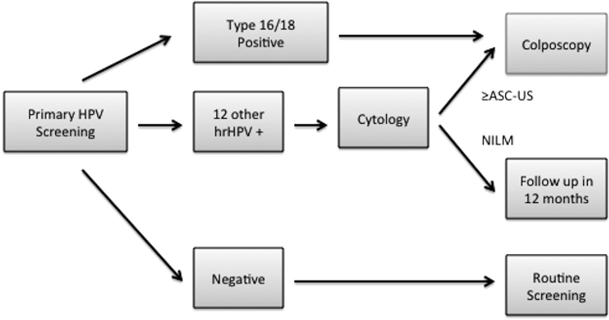 Hpv 18 Positive Colposcopy