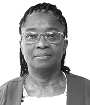 Introducing the Historical Corpus of English in Nigeria (HiCE–Nig ...