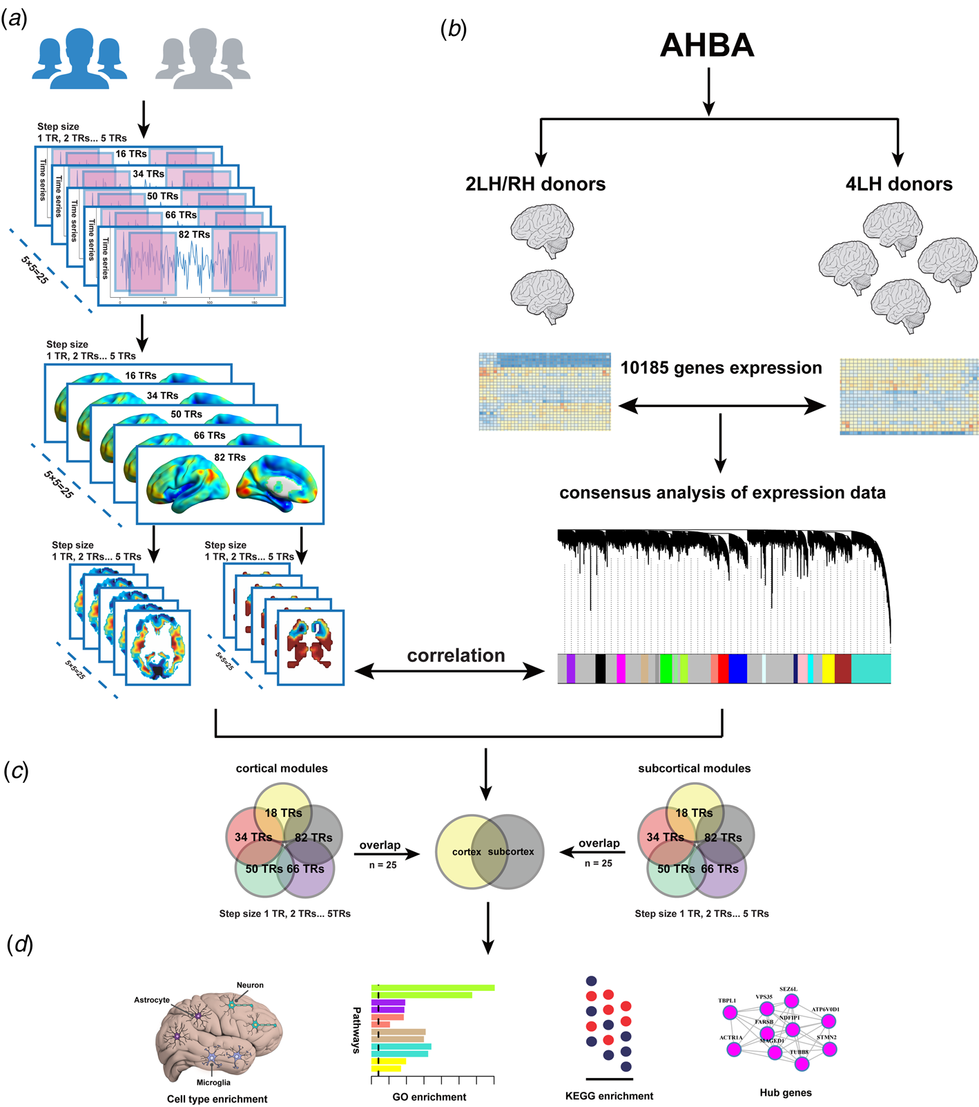 Local dynamic spontaneous brain activity changes in first-episode ...