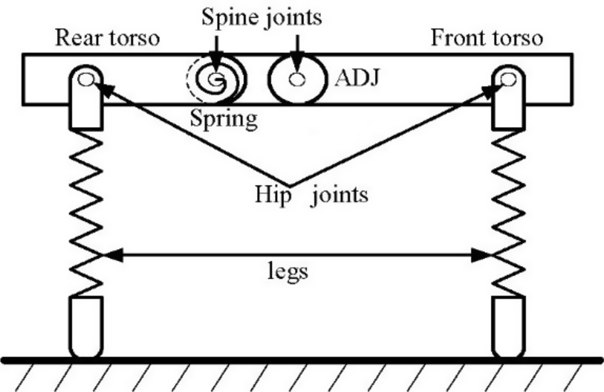Effects of spinal structure on quadruped bounding gait | Robotica ...