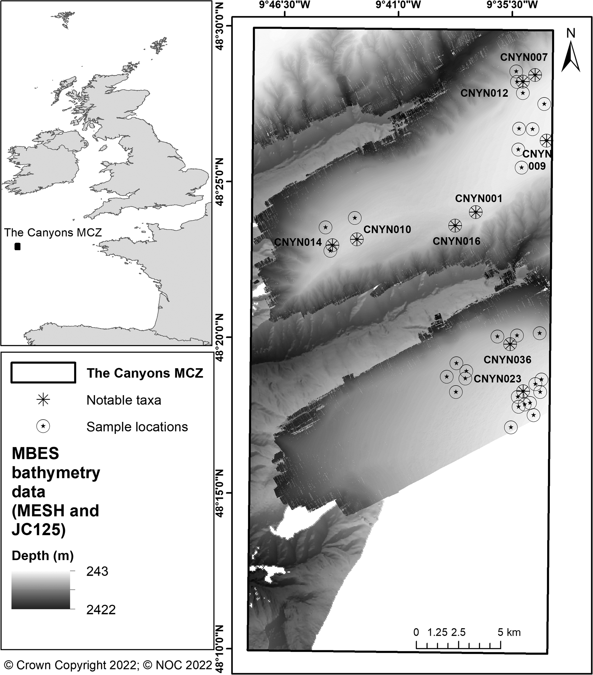 Notable Crustacea (Mysida, Amphipoda and Decapoda) from England's ...