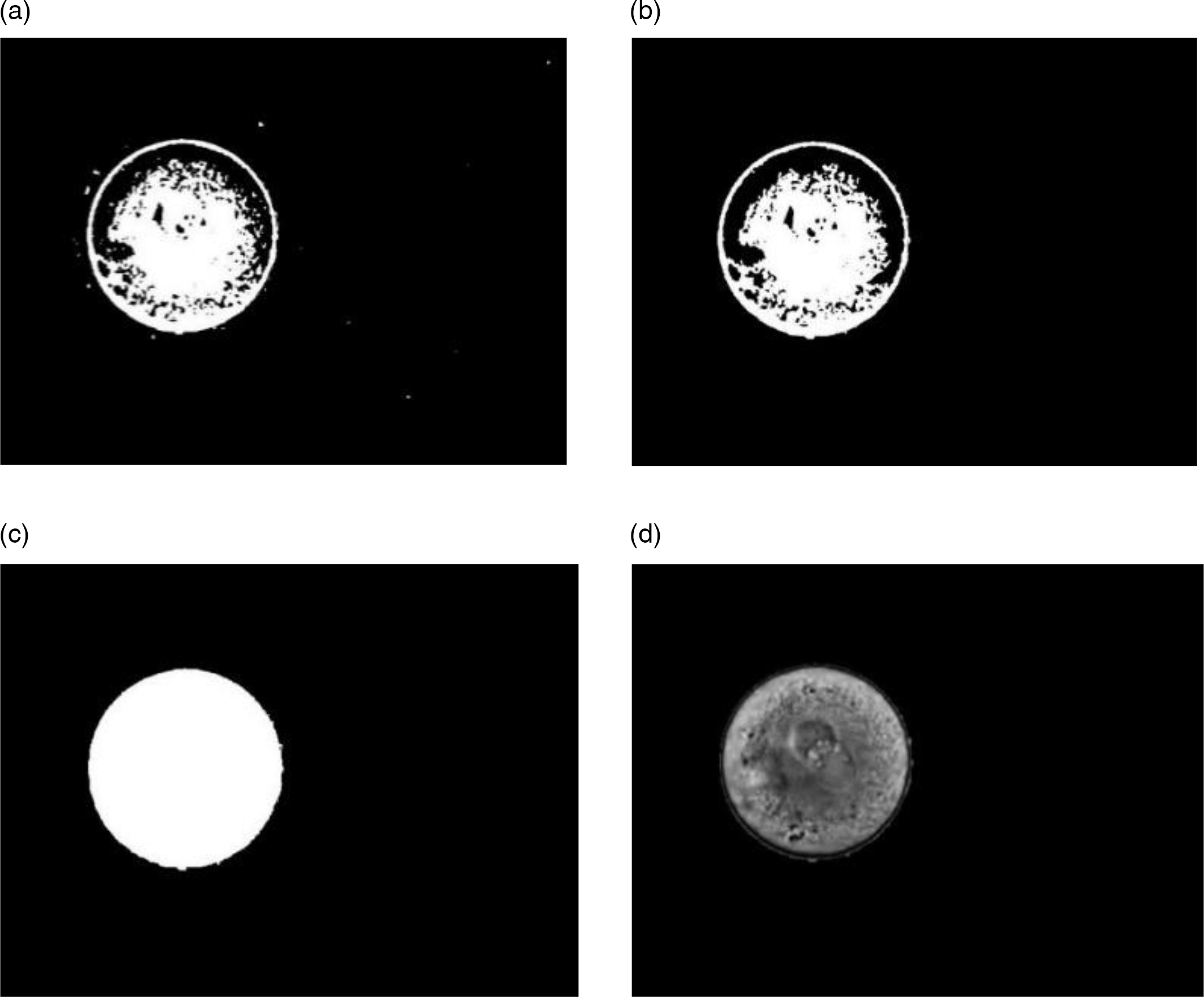 Morphometric evaluation of two-pronucleus zygote images using image-processing techniques ...