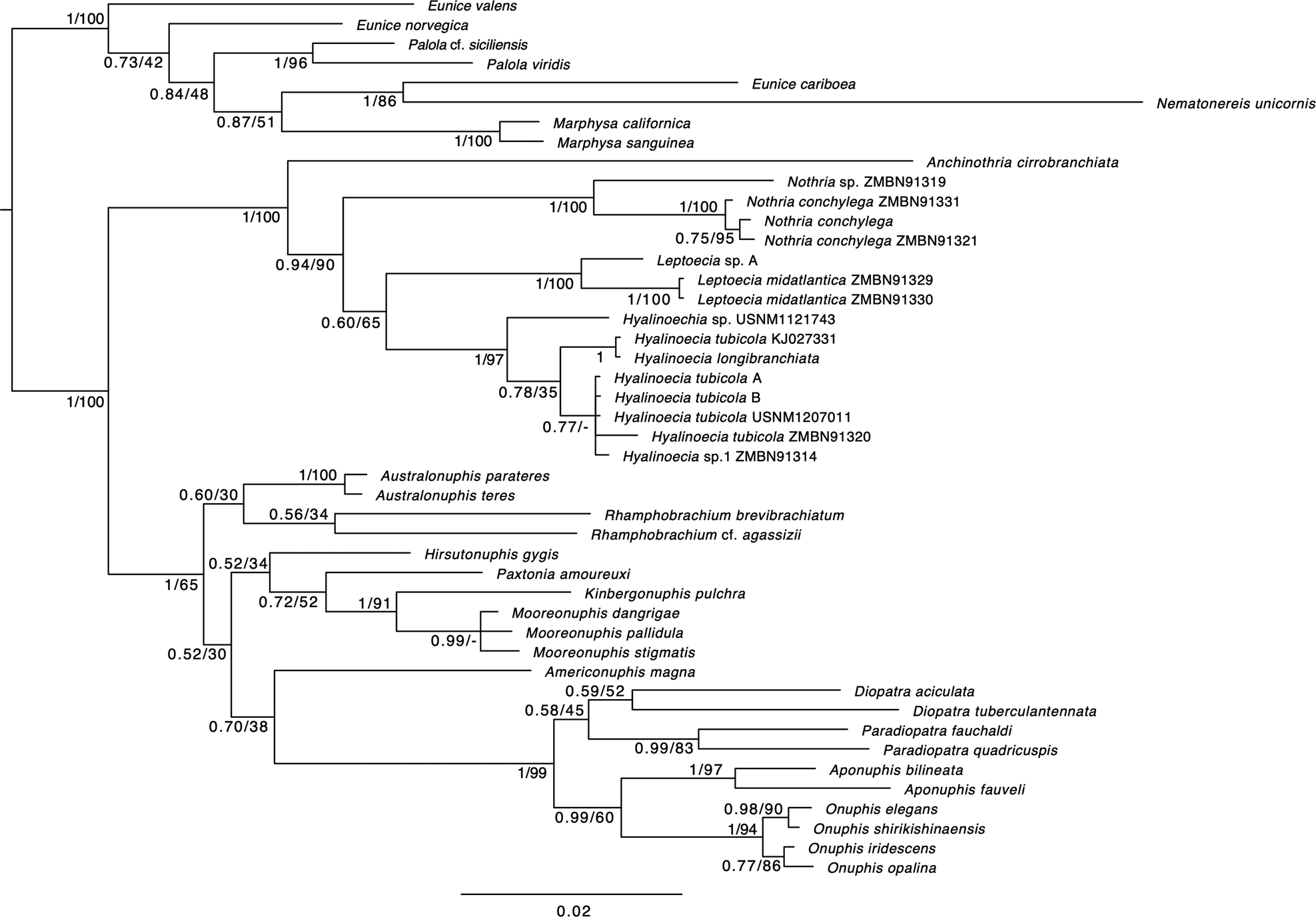 Terrigenous leaf-utilizing life of the tube-bearing annelid ...