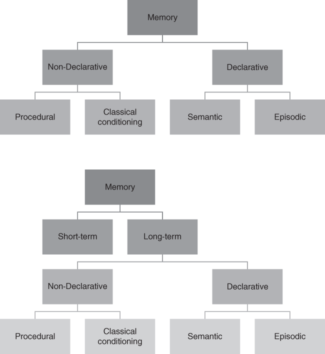 Declarative Memory Declarative Memory