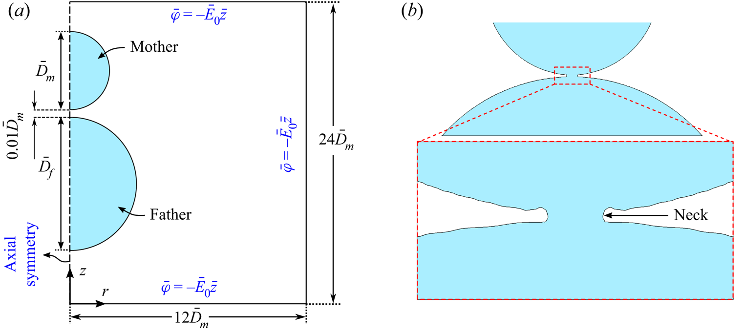 Electric-field-mediated morpho-dynamic evolution in drop–drop ...
