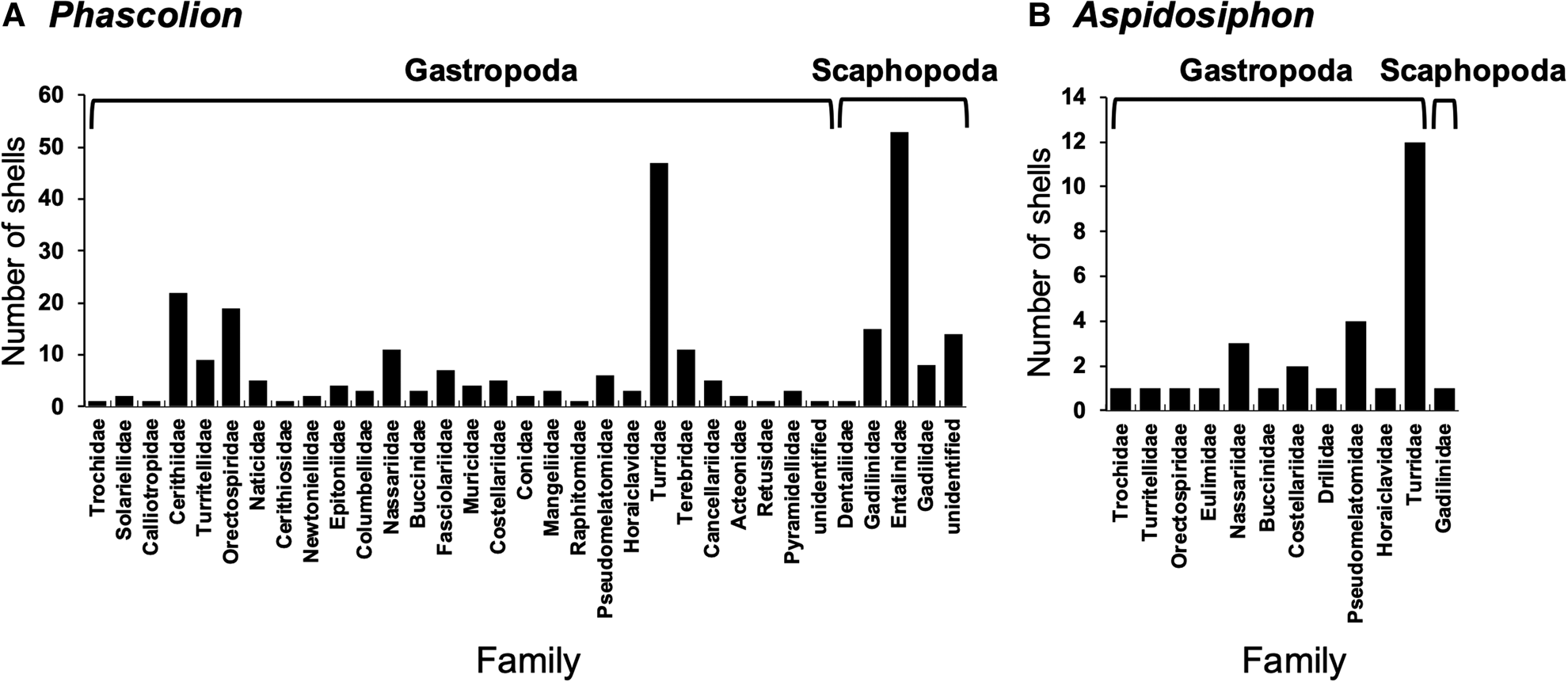 Patterns of shell utilization and preference in two sipunculan genera ...