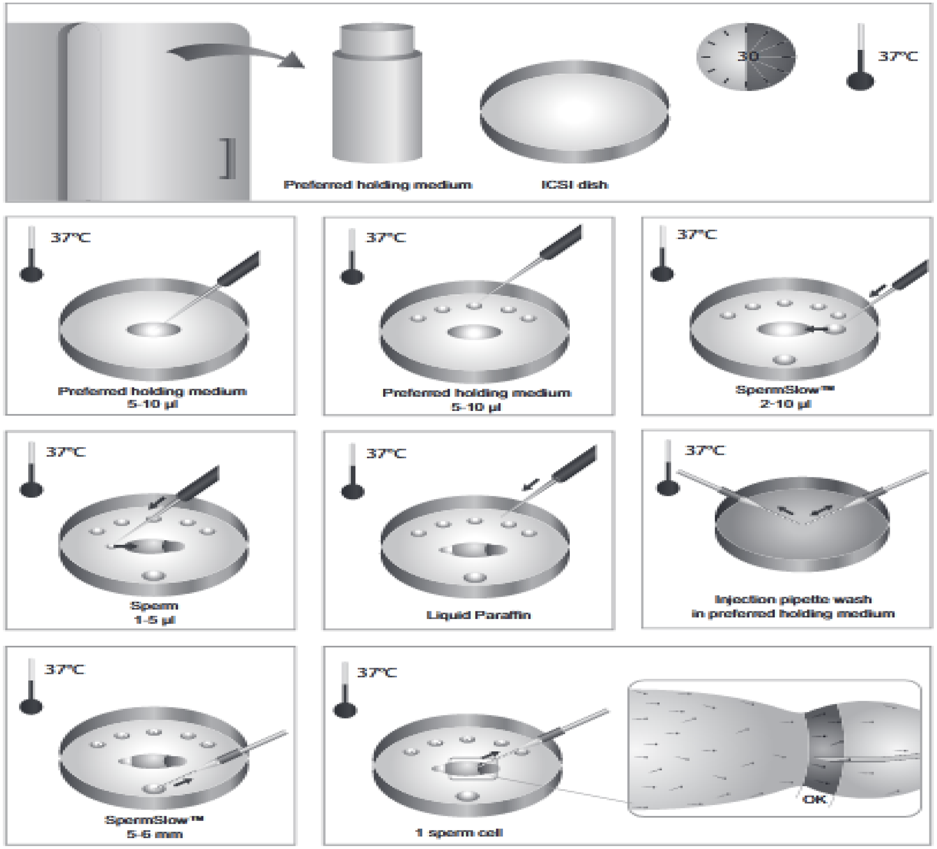 Comparative study between SpermSlow™ hyaluronan and traditional sperm ...