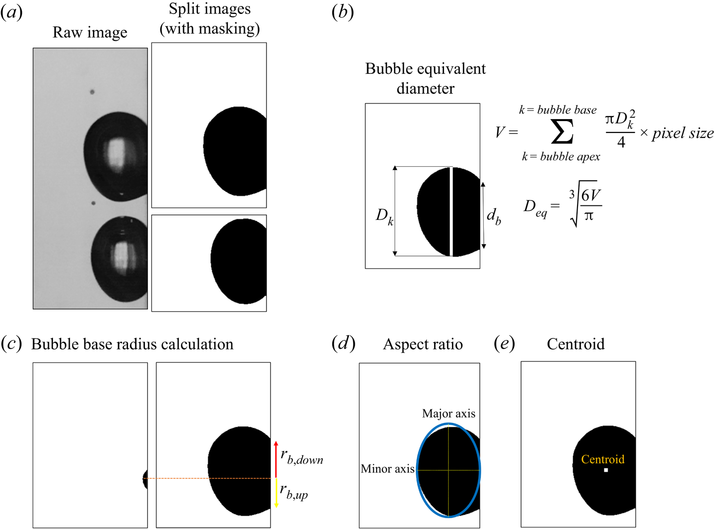 Microlayer dynamics of hydrodynamically interacting vapour bubbles in ...