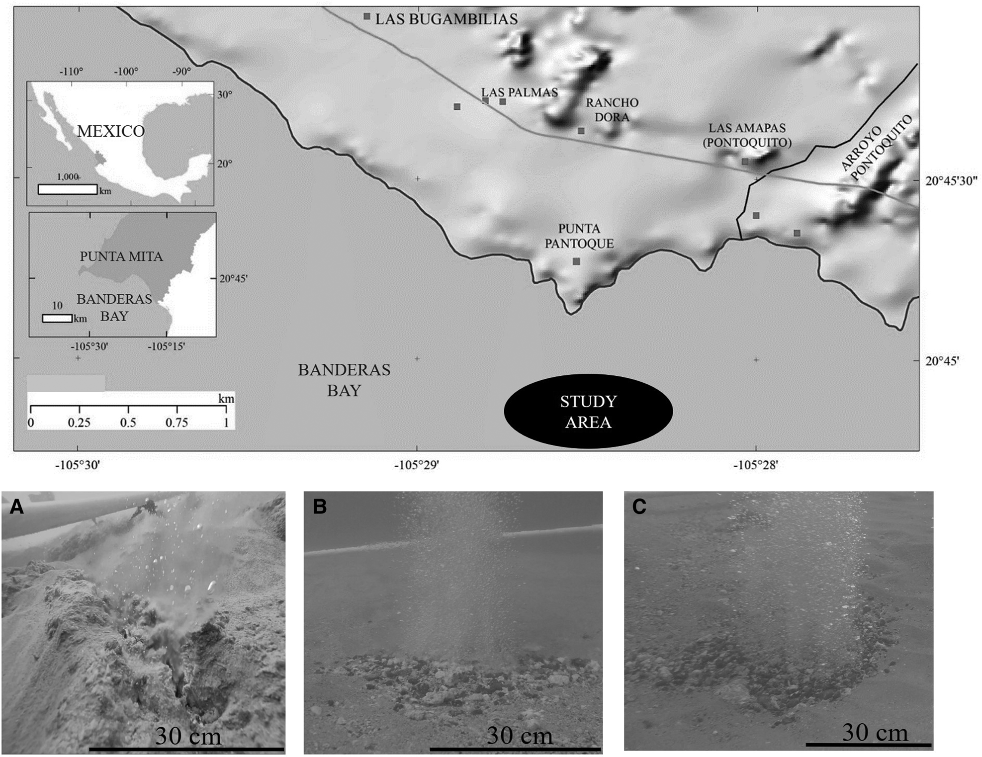 Benthic infauna associated with a shallow-water hydrothermal system of ...