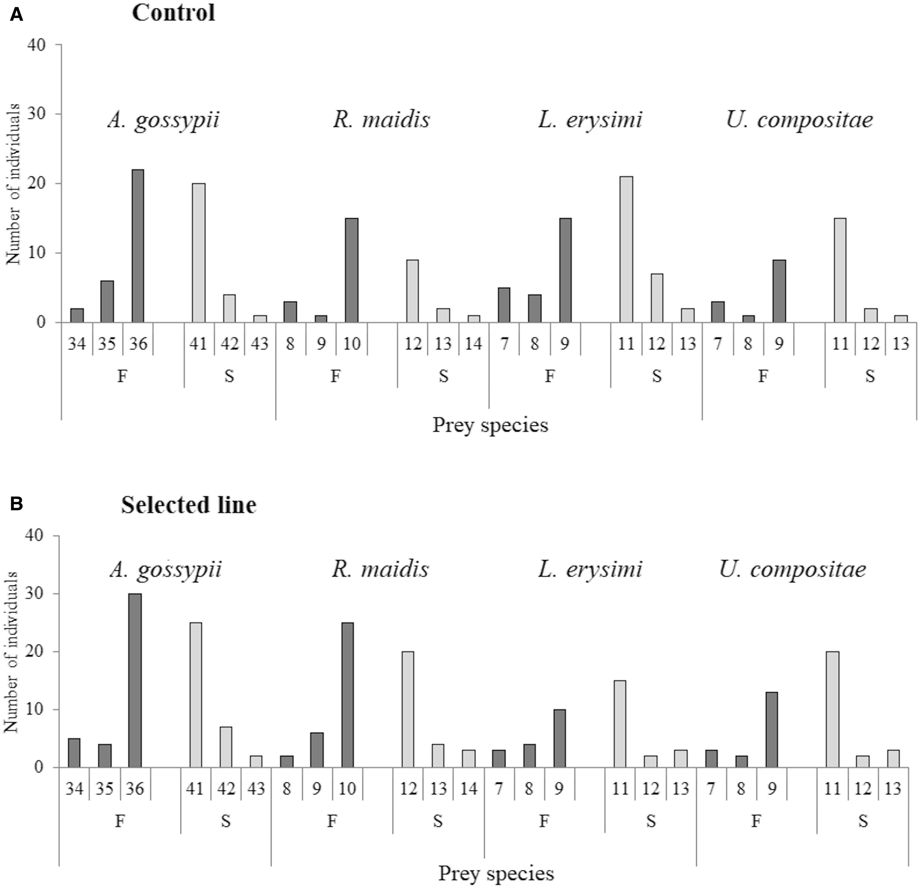 Optimising aphid biocontrol with the predator Propylea dissecta, based ...