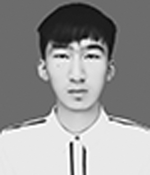 Analysis and design of weak coupling coupler based on the half mode ...