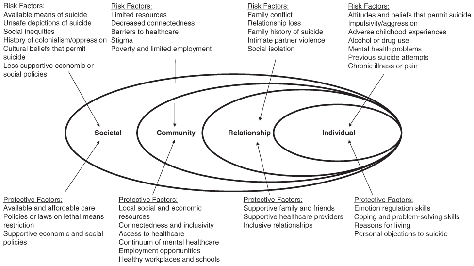 Pain, Suffering, and Buffering (Chapter 2) - Understanding Suicide in ...