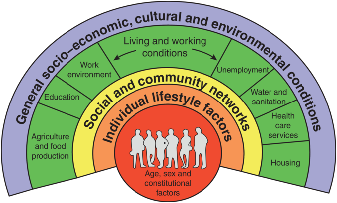 Health Needs Assessment (Chapter 1) - Essential Public Health