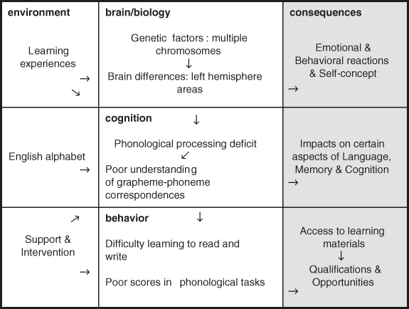 Adult Dyslexia (Chapter 2) - Succeeding and Adult Dyslexia