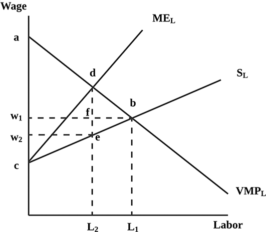The Economics of Monopsony (Chapter 2) - Monopsony in Labor Markets