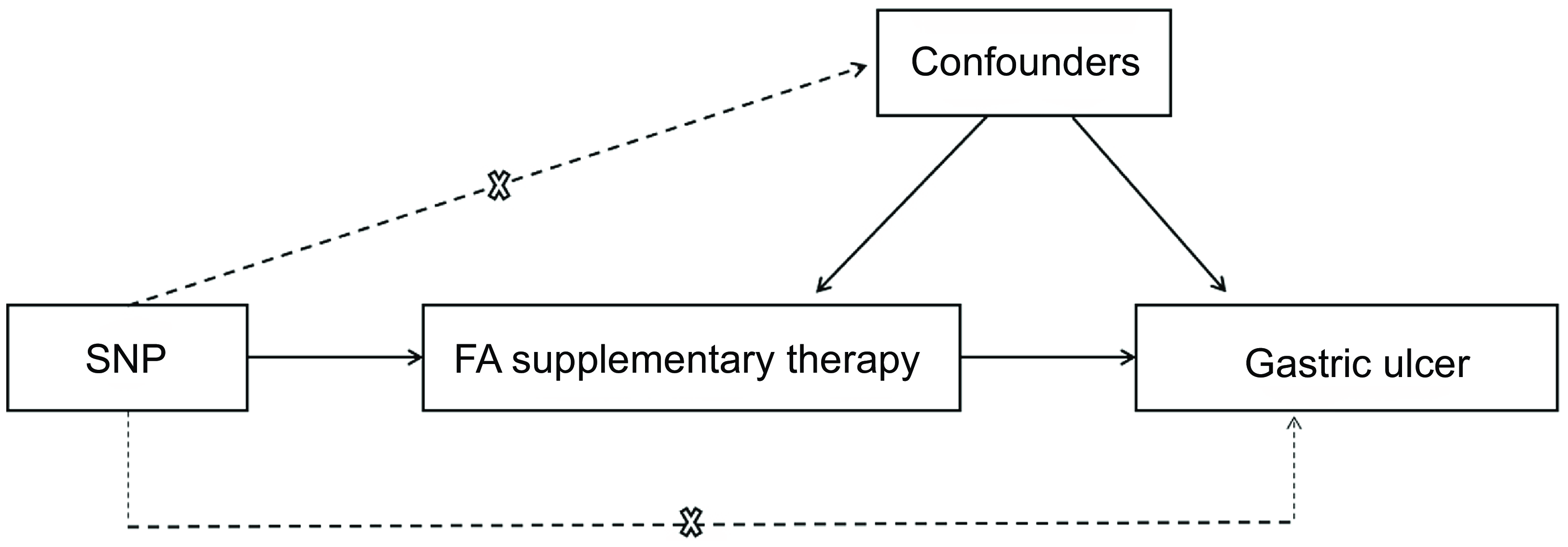 Causal Association Of Folic Acid Supplementary Therapy And Gastric