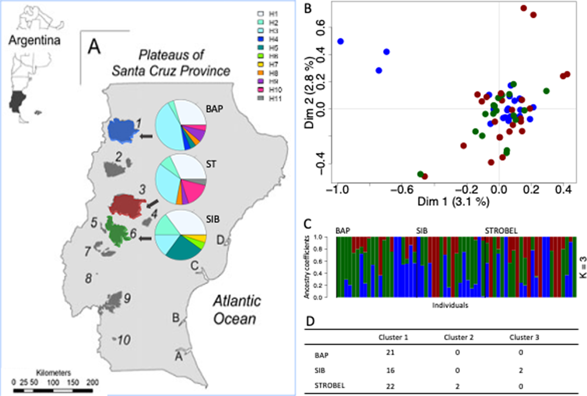 Conservation implications of genetic structure in the Critically ...