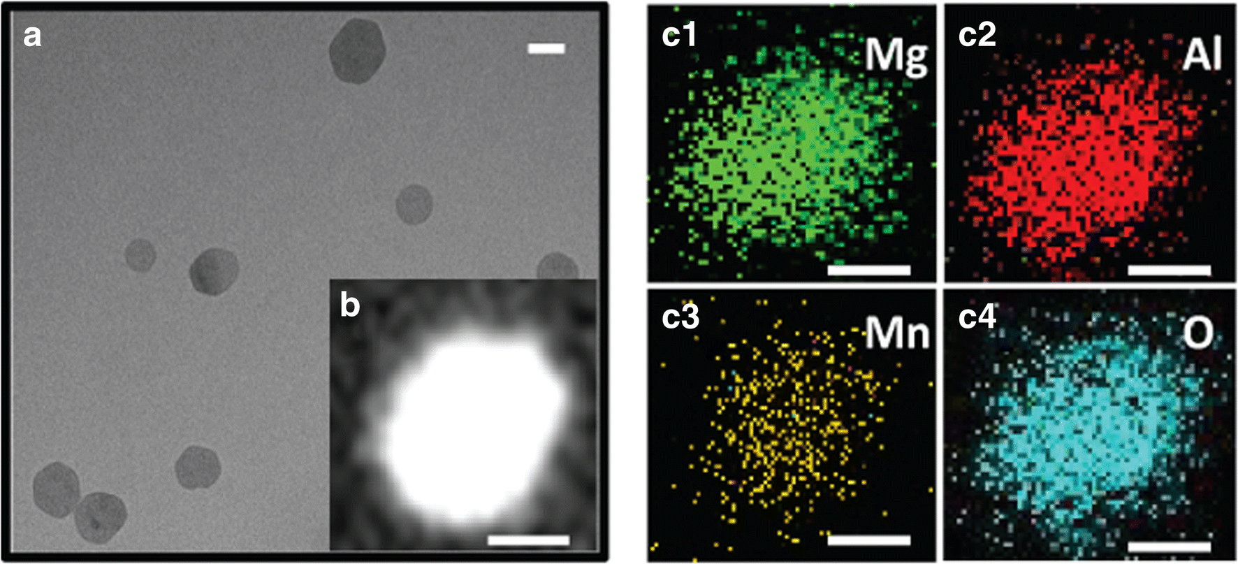 Modifying layered double hydroxide nanoparticles for tumor imaging and ...