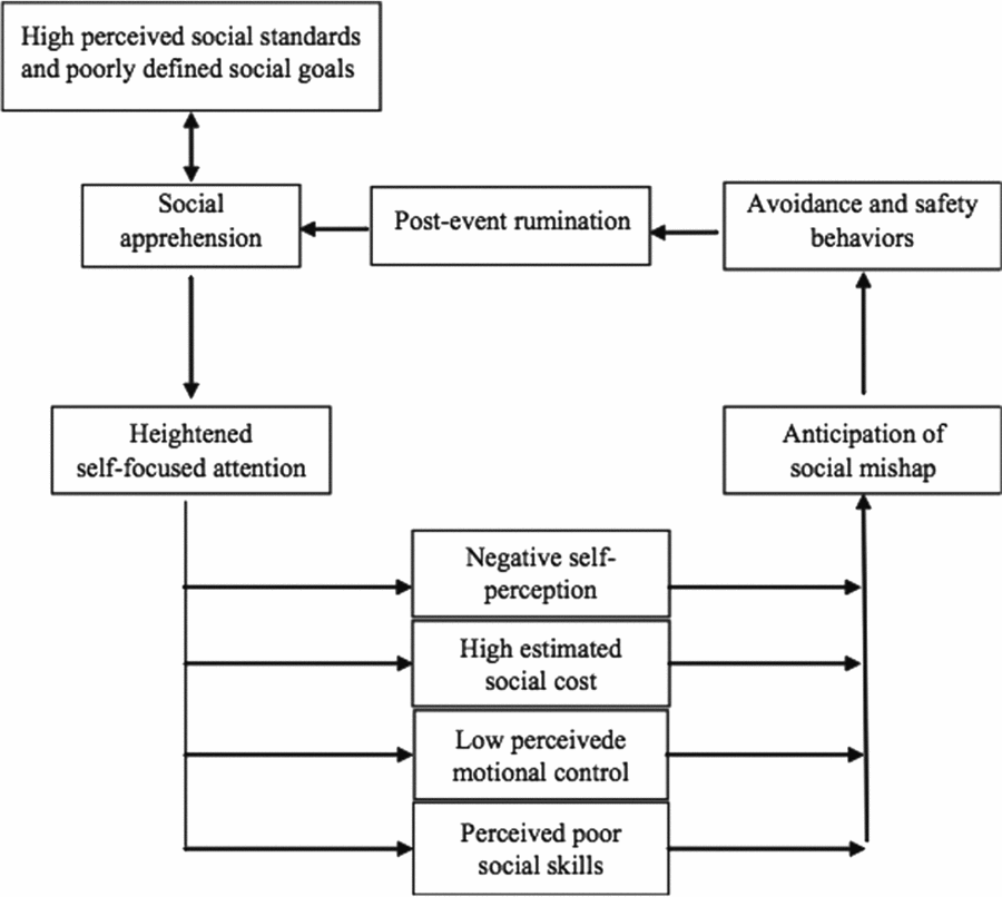 Anticipatory and Post-Event Rumination in Social Anxiety Disorder: A ...