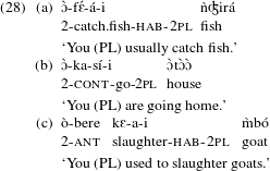 Negation through reduplication and tone: implications for the Lexical ...