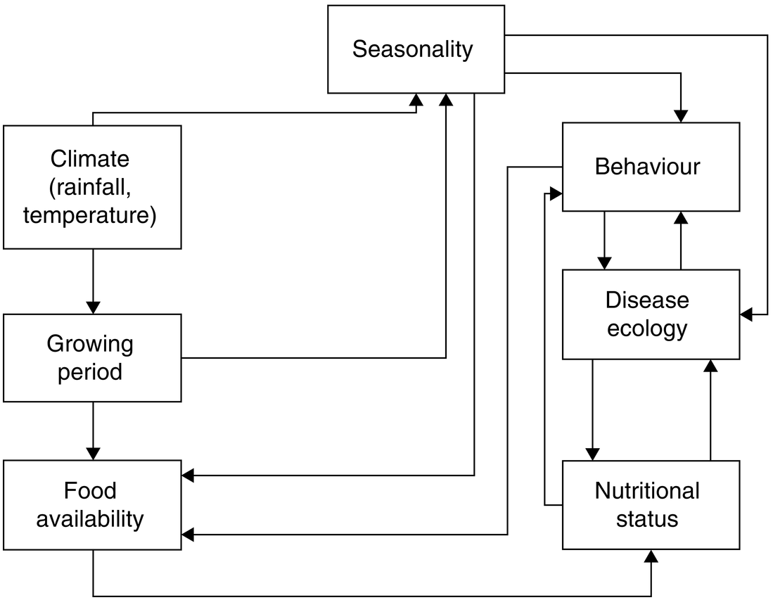 Nutritional Forms Of Microorganisms With Diagram