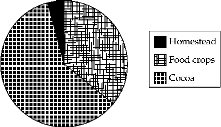 The cocoa mirid (Hemiptera: Miridae) problem: evidence to support new ...