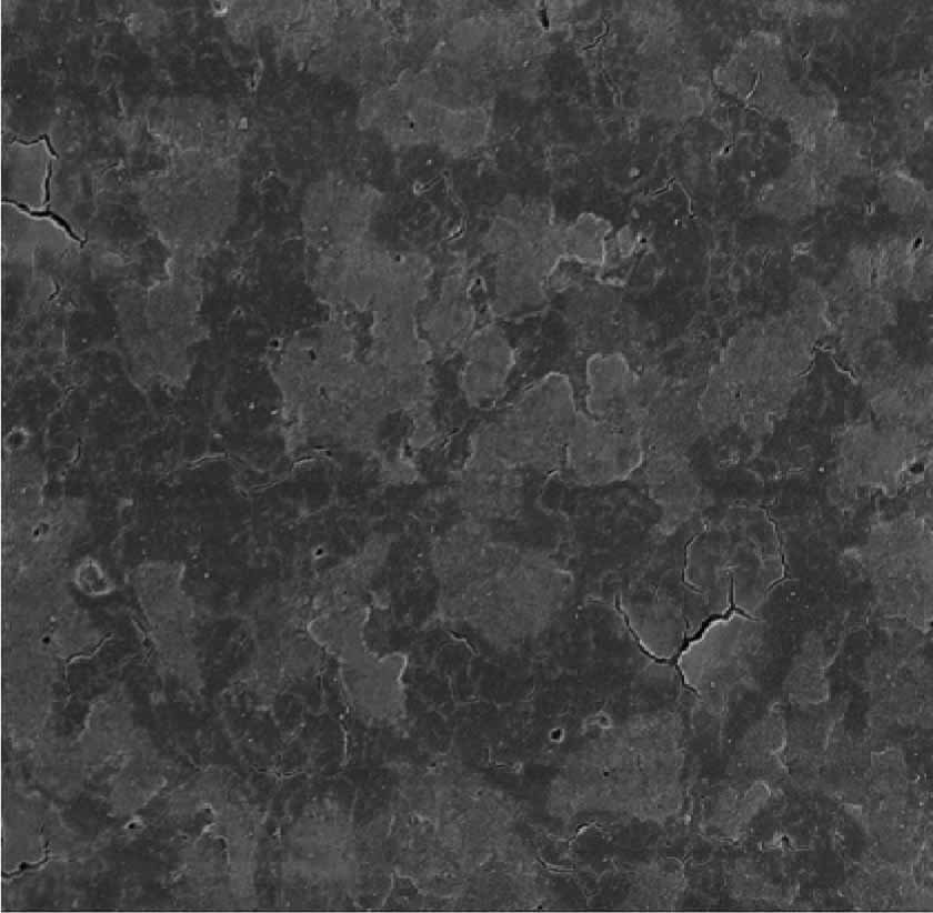 The eggshell cuticle of the laying hen | World's Poultry Science ...