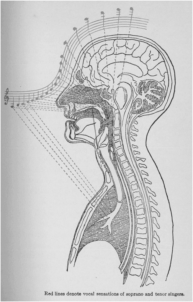Accessing head voice/falsetto : r/singing