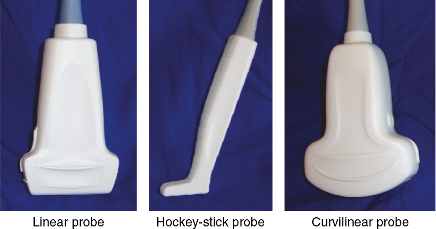 Curvilinear Probe Ultrasound