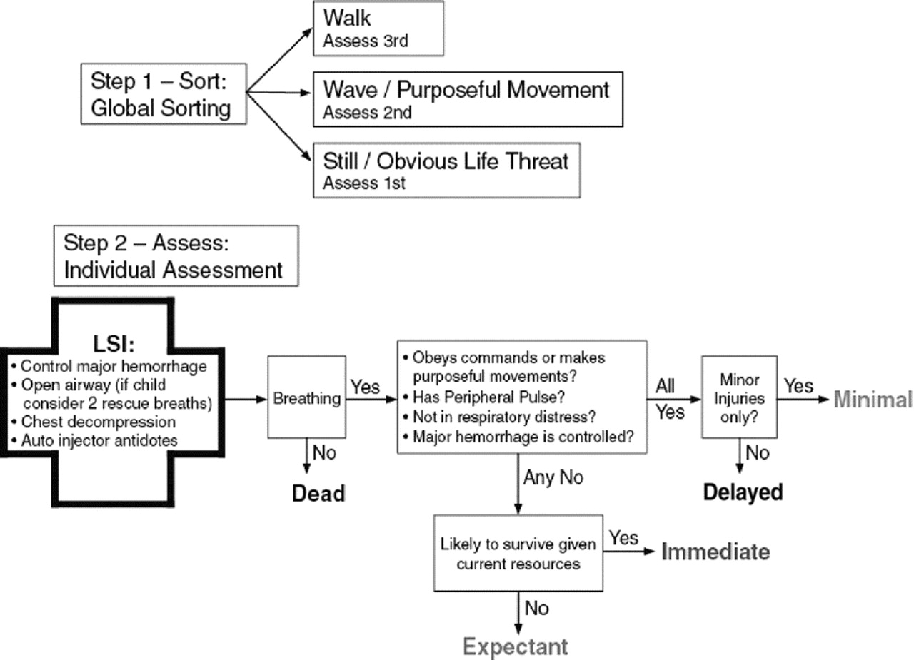 SALT Mass Casualty Triage: Concept Endorsed by the American College of ...