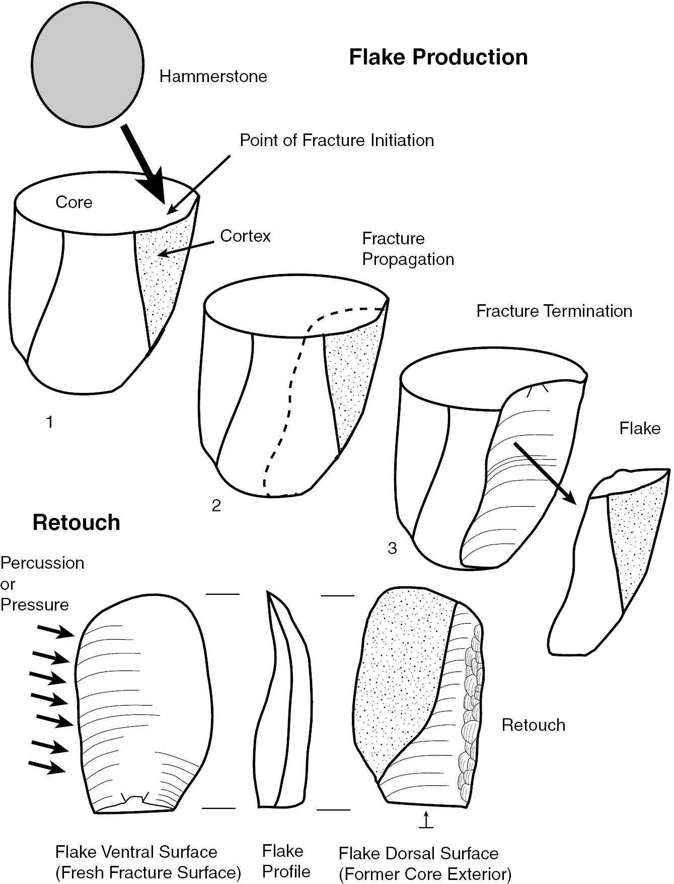 Lithics Basics (Chapter 2) - Stone Tools in the Paleolithic and ...