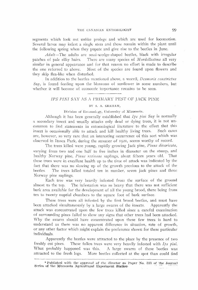 IPS PINI SAY AS A PRIMARY PEST OF JACK PINE | The Canadian Entomologist ...