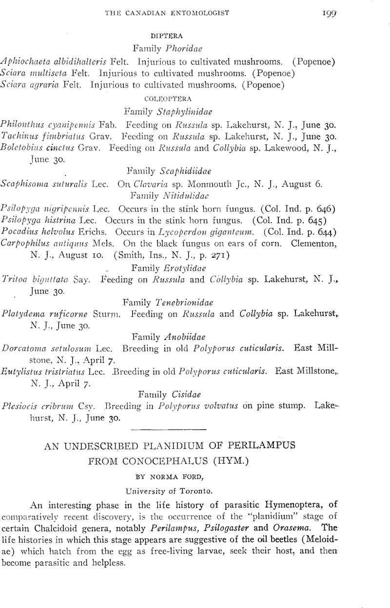 AN UNDESCRIBED PLANIDIUM OF PERILAMPUS FROM CONOCEPHALUS (HYM.) | The ...
