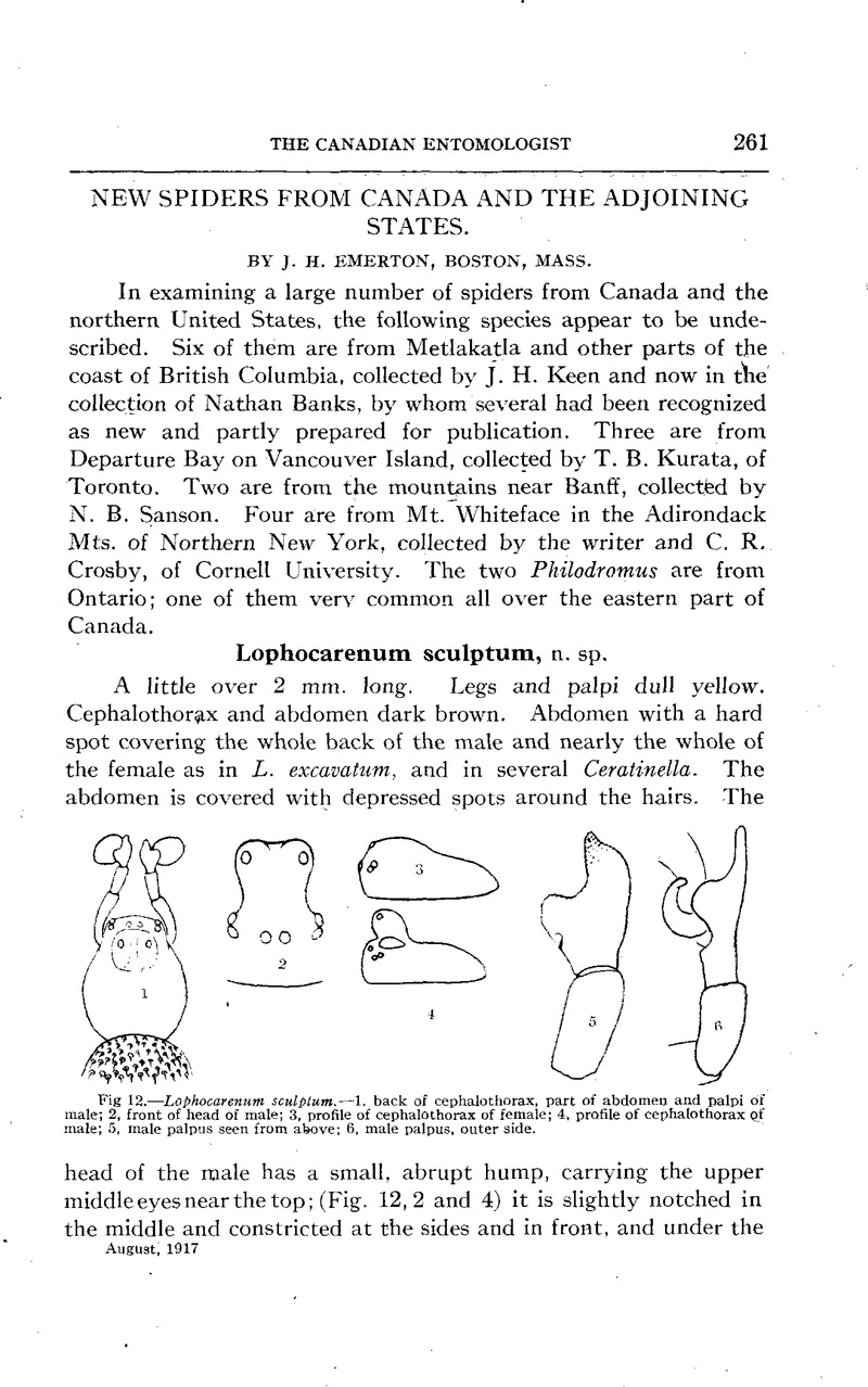 NEW SPIDERS FROM CANADA AND THE ADJOINING STATES | The Canadian ...