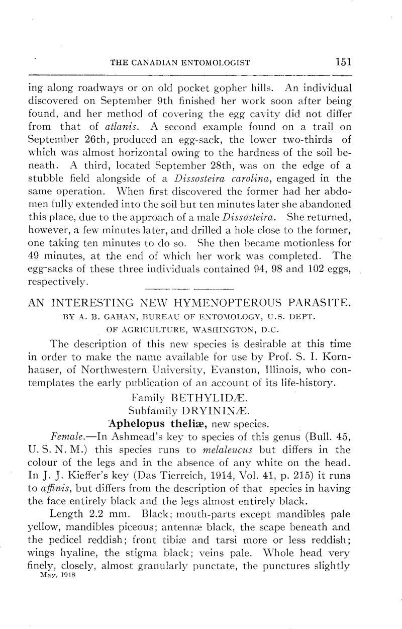 An Interesting New Hymenopterous Parasite The Canadian Entomologist Cambridge Core