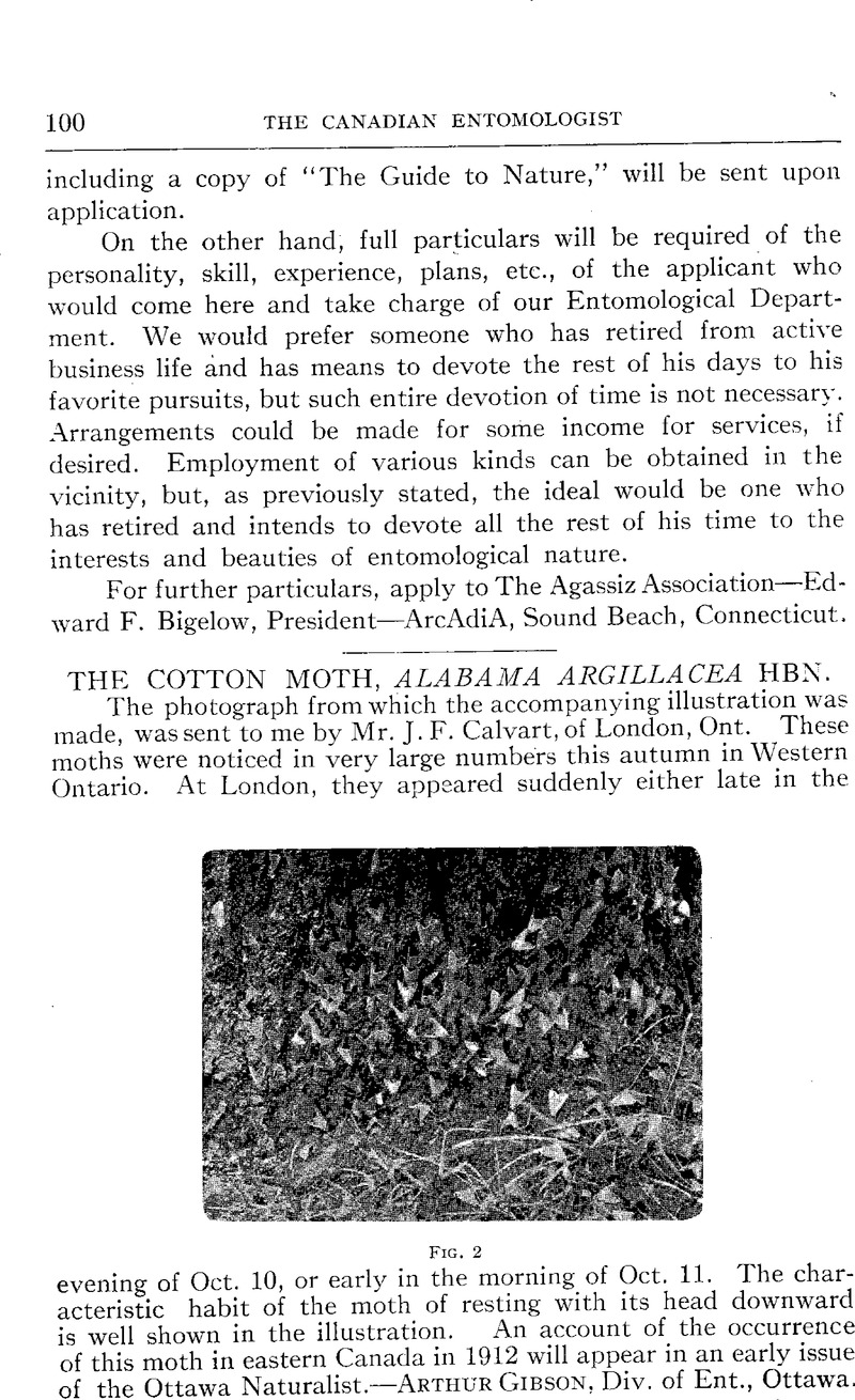 THE COTTON MOTH, ALABAMA ARGILLACEA HBN. | The Canadian Entomologist ...