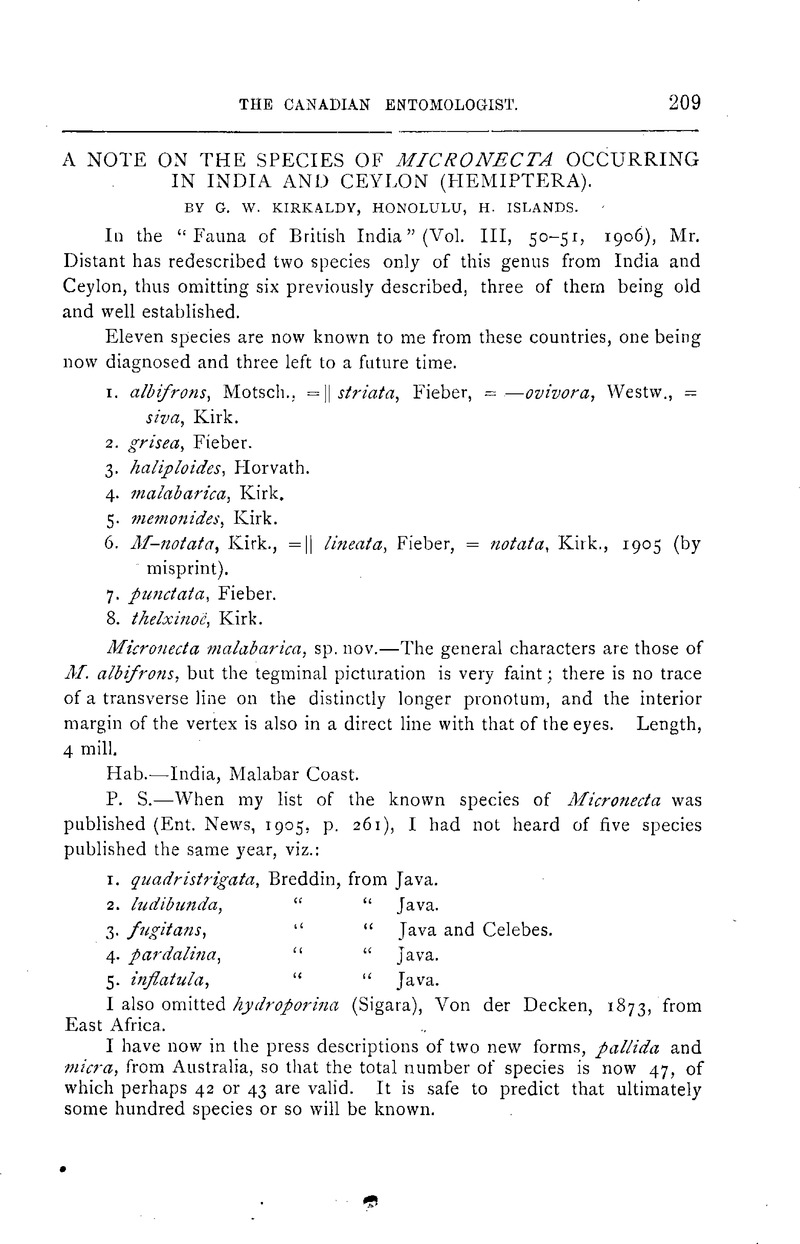 A NOTE ON THE SPECIES OF MICRONECTA OCCURRING IN INDIA AND CEYLON ...