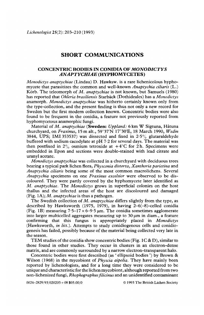 Concentric Bodies in Conidia of Monodictys Anaptychiae (Hyphomycetes ...
