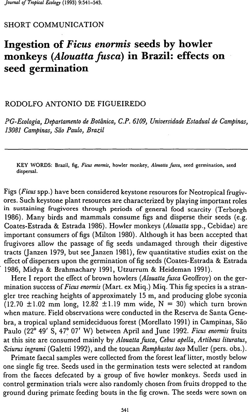 Ingestion of Ficus enormis seeds by howler monkeys (Alouatta fusca) in ...