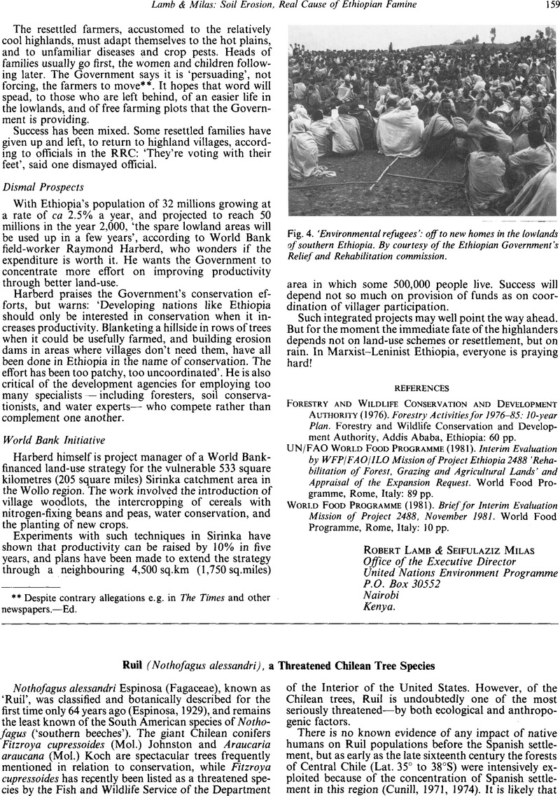 Ruil (Nothofagus alessandri), a Threatened Chilean Tree Species ...